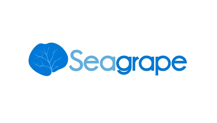 Before You Design Your New Hotel Website - Seagrape Blog for Caribbean ...
